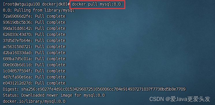 Docker安装MySQL8.0的详细步骤(附图文!)_因特网(www.inte.net)