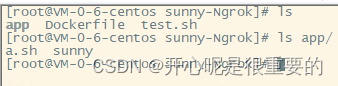 docker发布sunnyNgrok实现内外网穿透的方法(容器内执行命令)_因特网(www.inte.net)