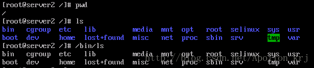 浅谈Linux环境变量与系统编程_因特网(www.inte.net)